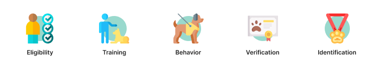 Types of Service Animals: Discover Which One is Best for You