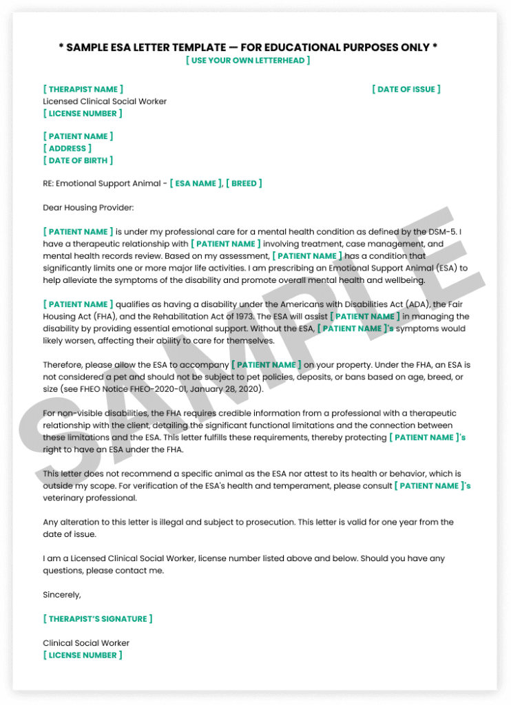 ESA Letter Example: What Should Be Included?