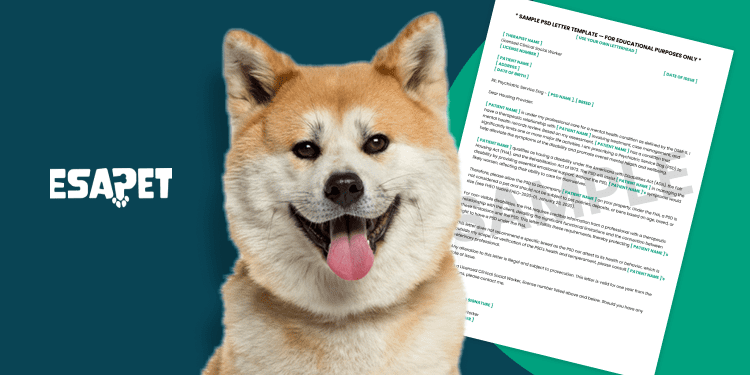 Service Dog Letter Template: Components and Use Cases | ESA Pet